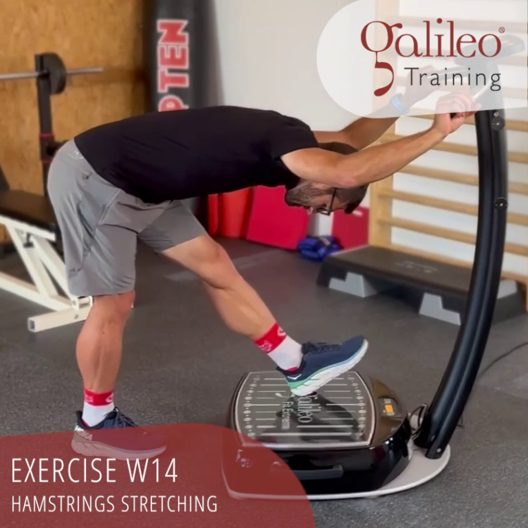 Exercise EW14: Hamstrings stretching | Novotec Medical & Stratec ...