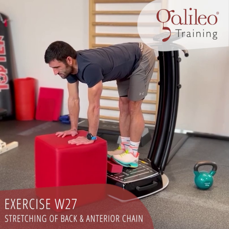 Exercise EW27: Stretching of back & anterior chain | Novotec Medical ...